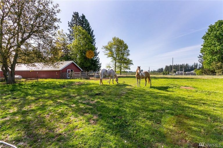 Premier Properties - Windermere Real Estate