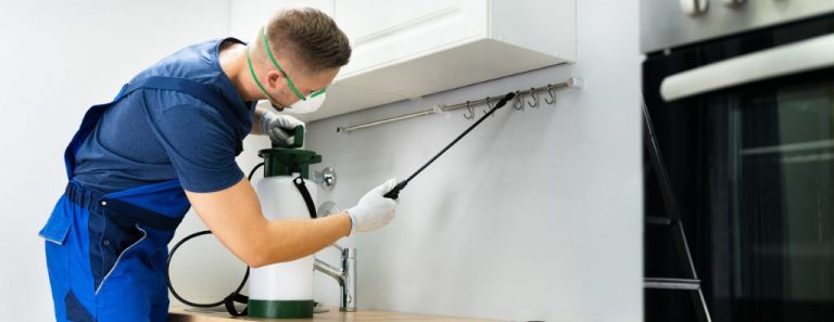 Tips for Home Pest Control and Prevention - Windermere Real Estate