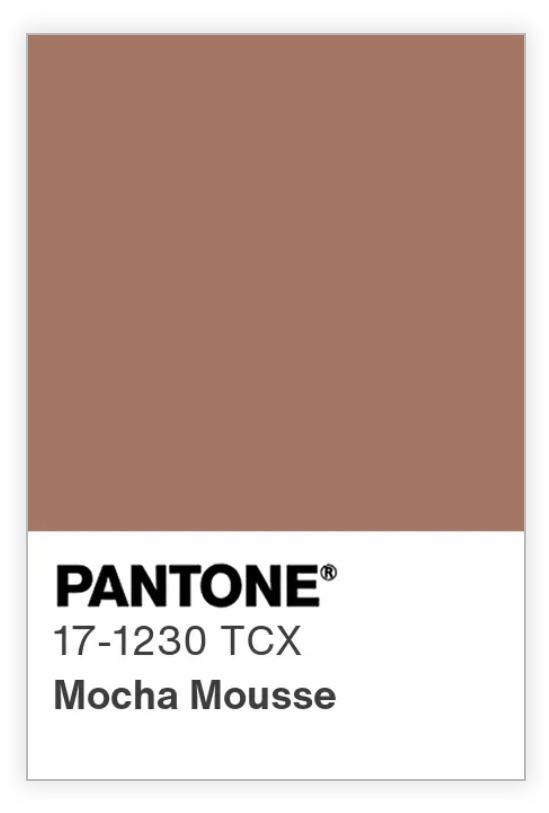 Pantone 2025 Color of the Year: Infusing Mocha Mousse into Your Home ...